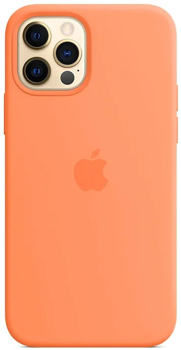 Чехол Silicone Case [Plastic Box] для iPhone 16 Pro Max Papaw - купить ...